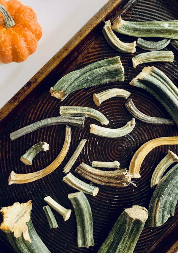How to Dry Out Pumpkin Stems Quickly - A Well Purposed Woman