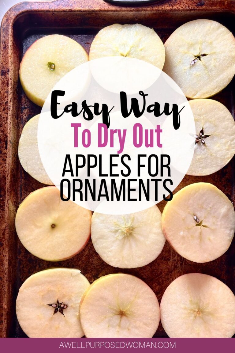 Easy Way to Dry Out Apples in the Oven: Jesse Tree Day 2 - A Well ...